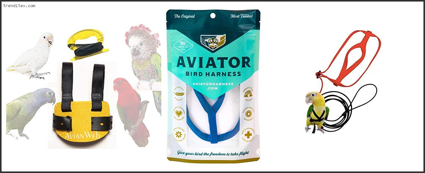 Top 10 Best Bird Harness For Conure [2025] | Trendi Tex